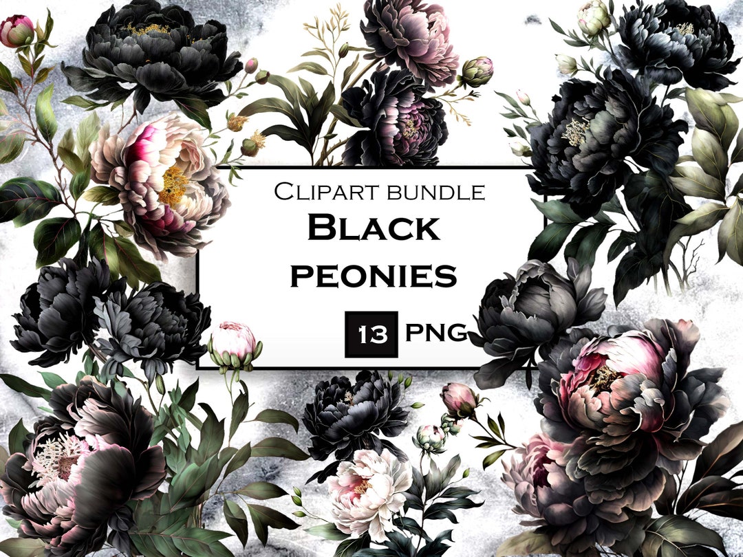 Black Peonies Clipart Watercolor Flowers PNG Peonies - Etsy