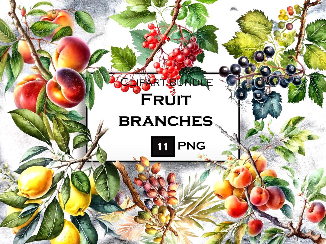 Watercolor Fruits Clipart, Fruit Branches PNG, Fruits Clipart Bundle ...