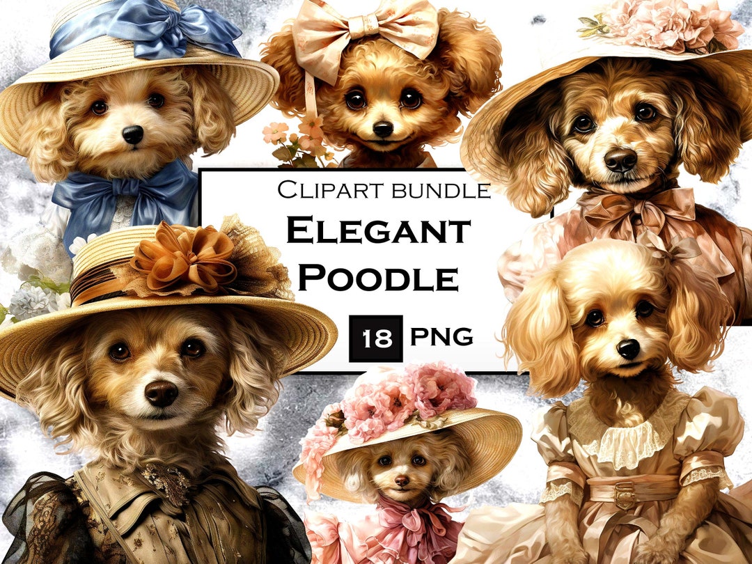18 PNG Cute Poodle Clipart Bundle Vintage Dog Clip Art PNG - Etsy