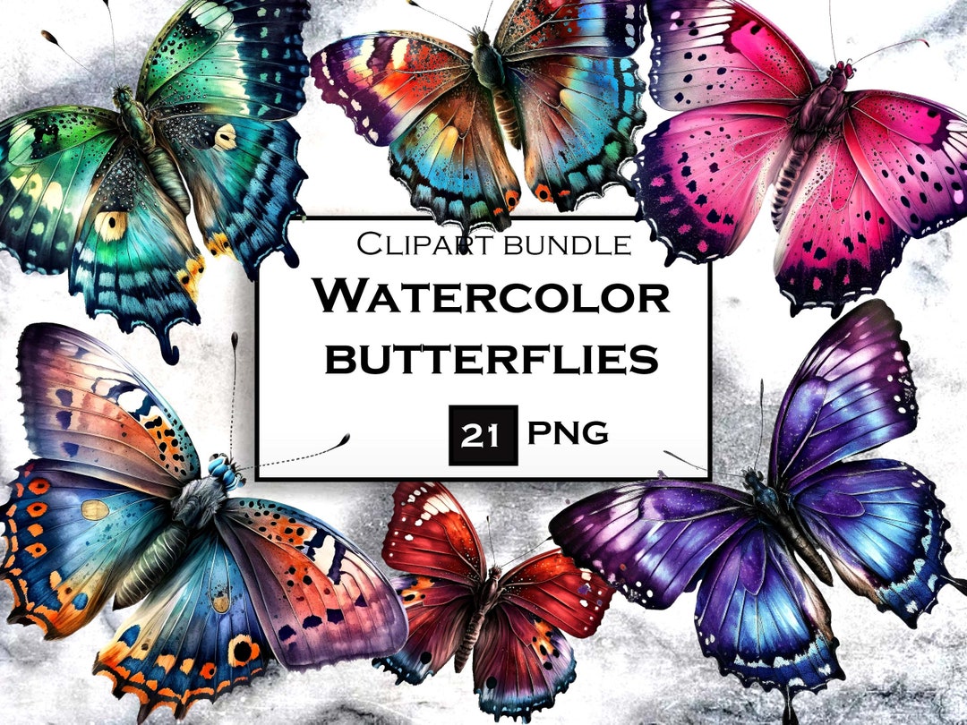 Watercolor Butterflies Clipart Butterfly PNG Colorful - Etsy