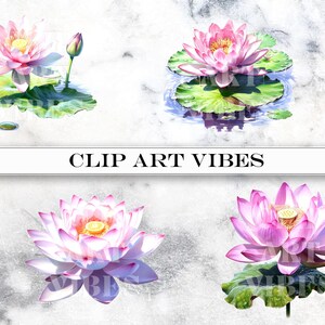 Watercolor Lotus Flower Clipart Bundle, Lotus Flower PNG Files With ...