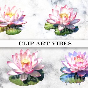 Watercolor Lotus Flower Clipart Bundle, Lotus Flower PNG Files With ...