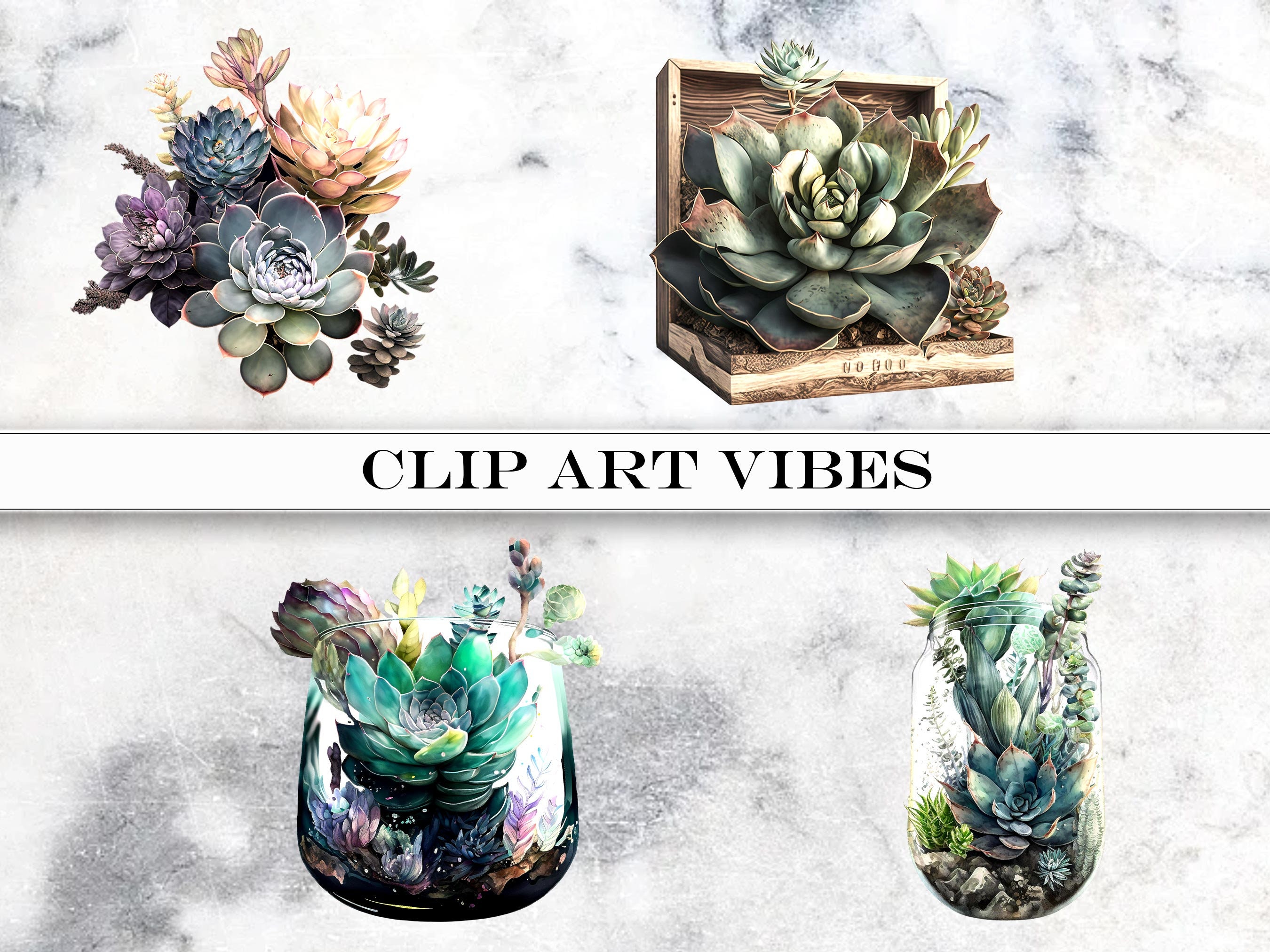 14 PNG Succulent Clipart Bundle Succulent SVG Floral Clip - Etsy