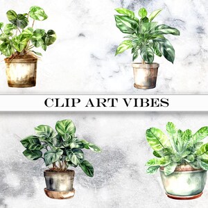 32 PNG House Plant Clipart Bundle Floral Clip Art PNG Files - Etsy