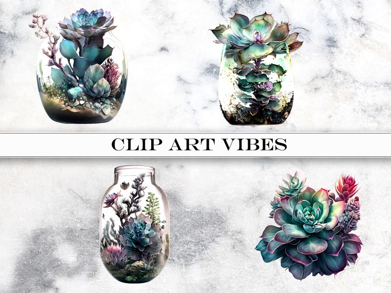 14 PNG Succulent Clipart Bundle Succulent SVG Floral Clip - Etsy