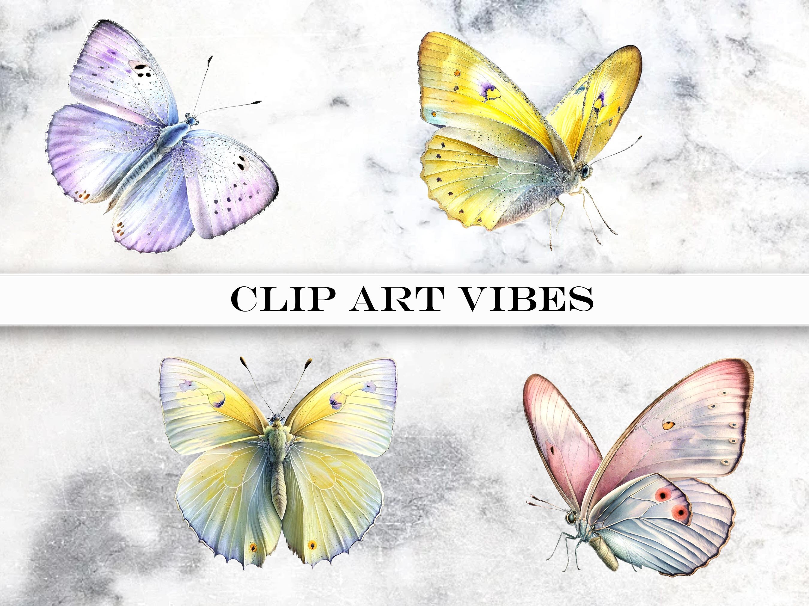 Butterfly Clipart Butterfly PNG Watercolor Butterfly - Etsy