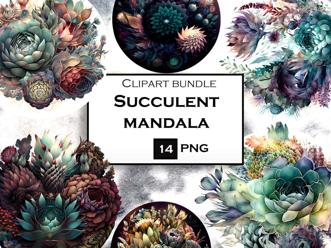 14 PNG Succulent Clipart Bundle, Watercolor Succulent Clip Art PNG ...