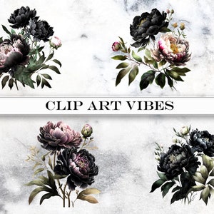 Black Peonies Clipart Watercolor Flowers PNG Peonies - Etsy