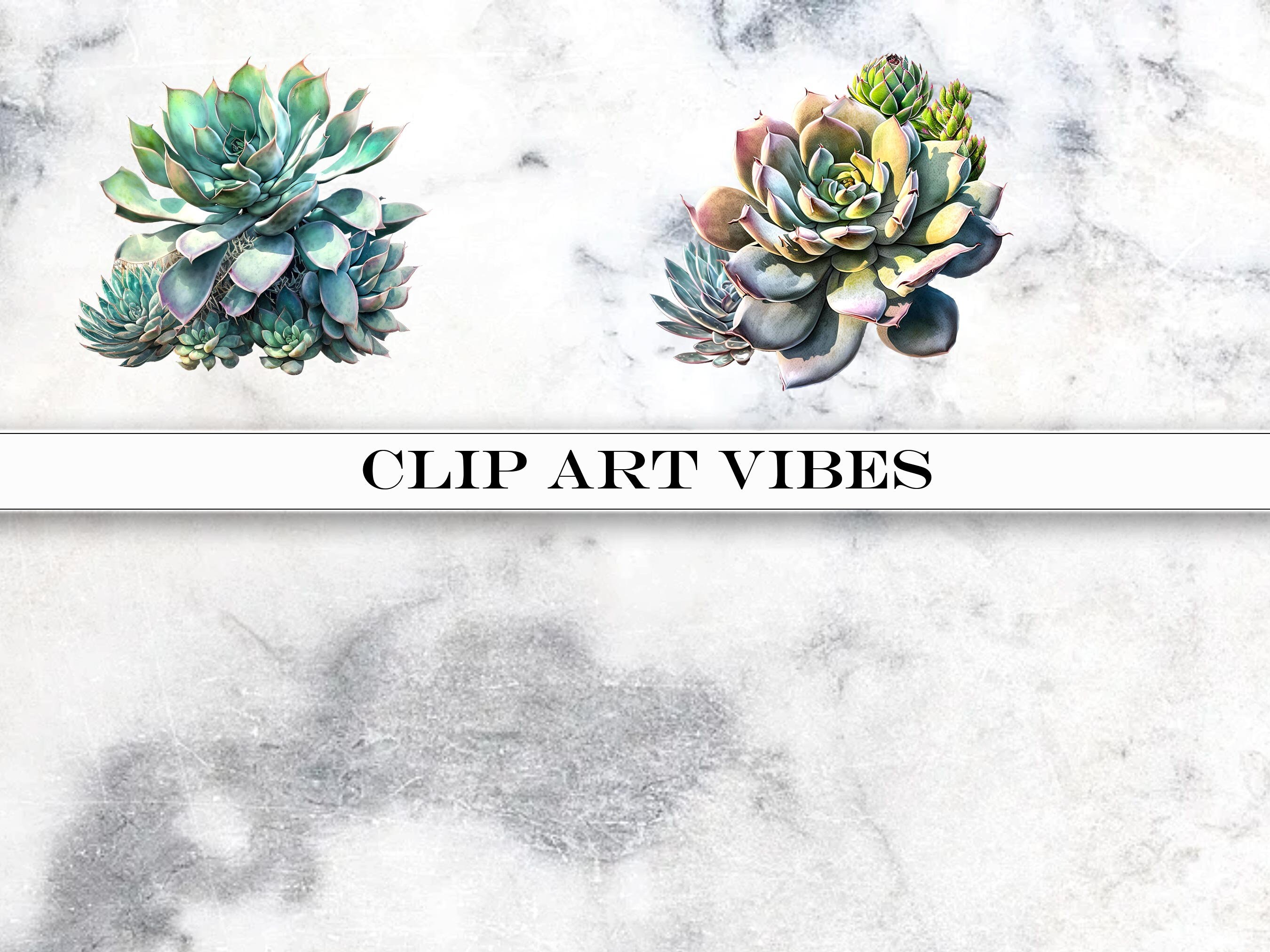 14 PNG Succulent Clipart Bundle Succulent SVG Floral Clip - Etsy
