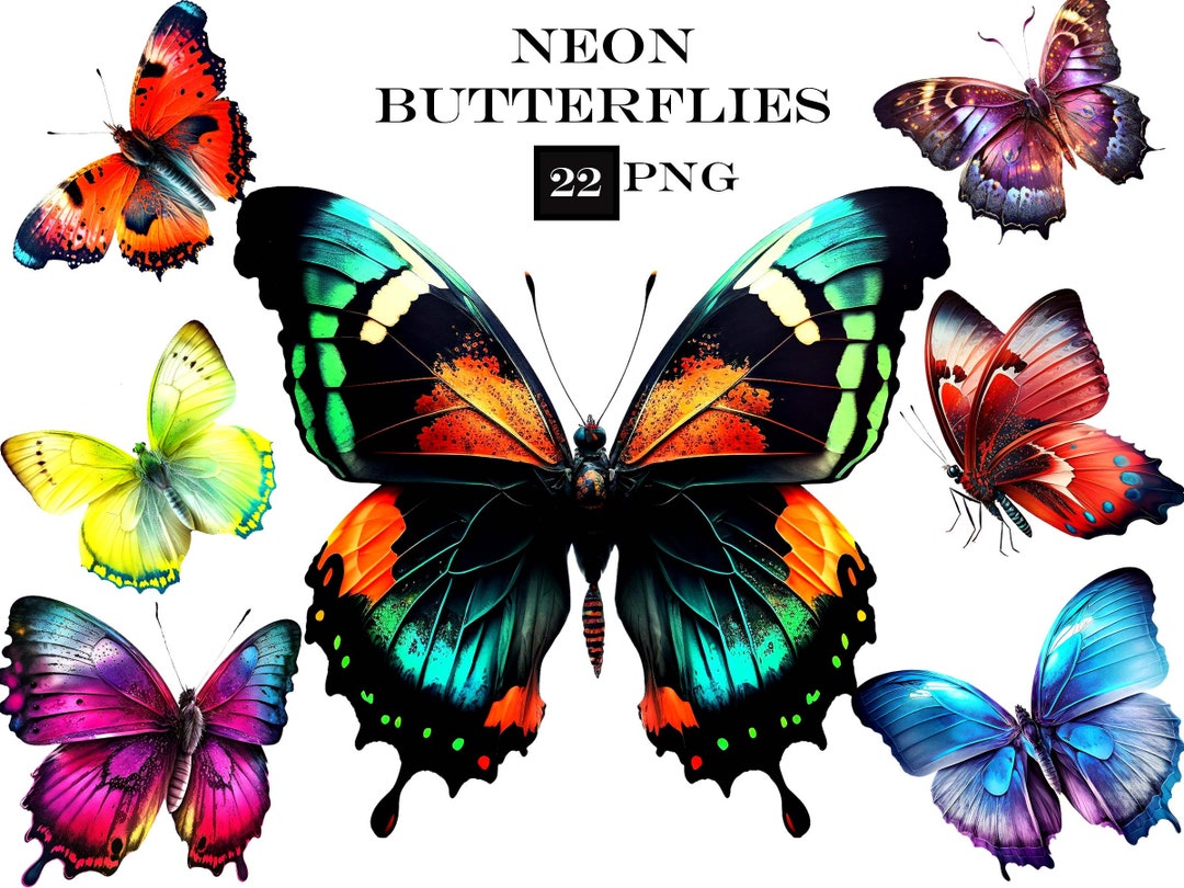 Watercolor Butterfly PNG Clipart Bundle, Butterfly PNG, Commercial Use ...