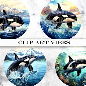 Orca PNG Clipat Bundle, Dolphin PNG Clipart, Under the Sea SVG, Ocean ...