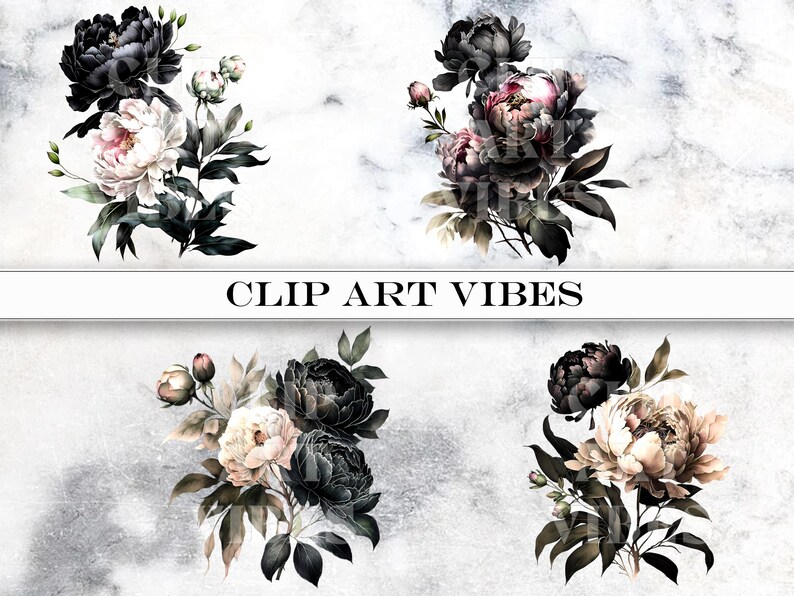 Black Peonies Clipart, Watercolor Flowers PNG, Peonies Clipart ...