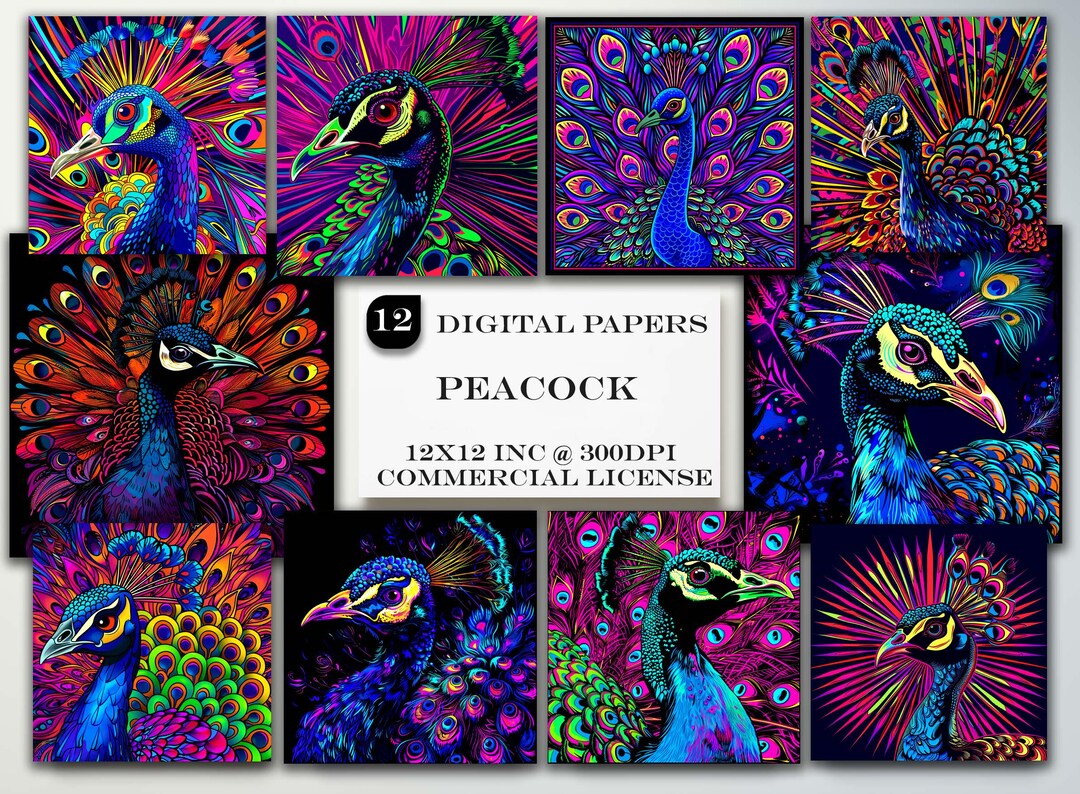 Peacock Digital Paper Pack, Bright & Colorful Peacock Feather Patterned ...