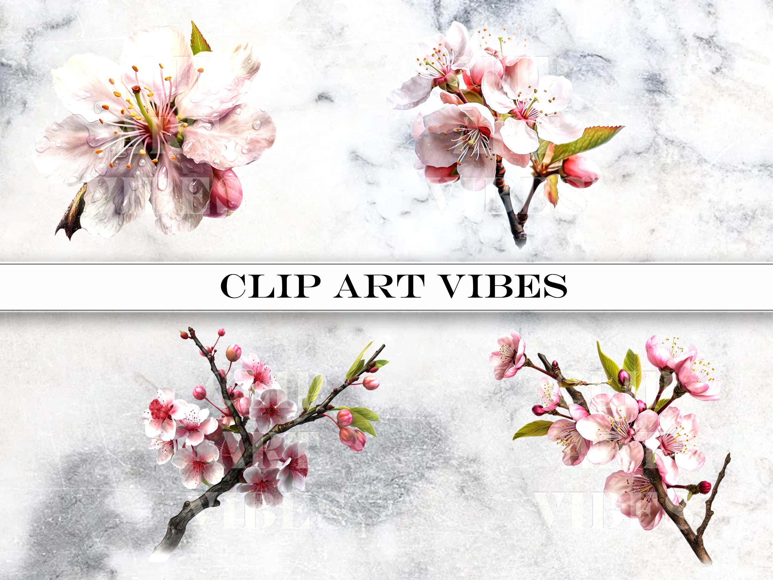 13 PNG Cherry Blossom Clipart Bundle, Watercolor Flowers PNG, Cherry ...