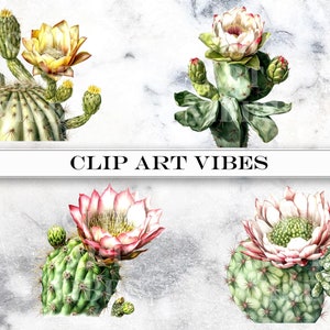 20 PNG Cactus Clipart Bundle, Succulent SVG, Floral Clip Art PNG Bundle ...