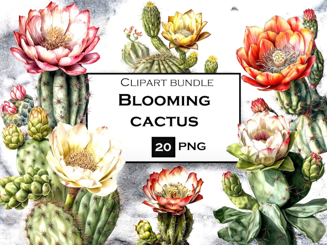 20 PNG Cactus Clipart Bundle, Succulent SVG, Floral Clip Art PNG Bundle ...