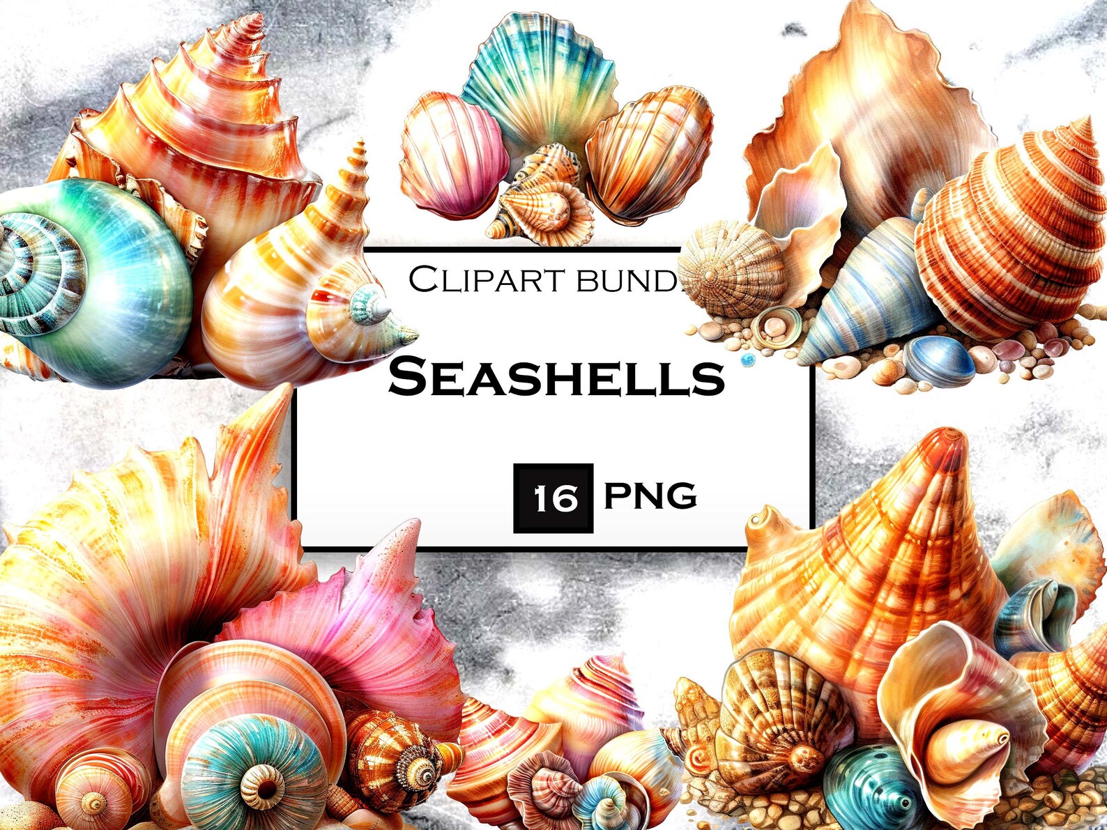 Seashell Clipart Bundle, Seashell SVG, Ocean Clipart in PNG Format for ...