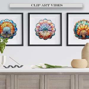 26 PNG Seashell Clipart Bundle Ocean Clipart Beach Clip Art - Etsy