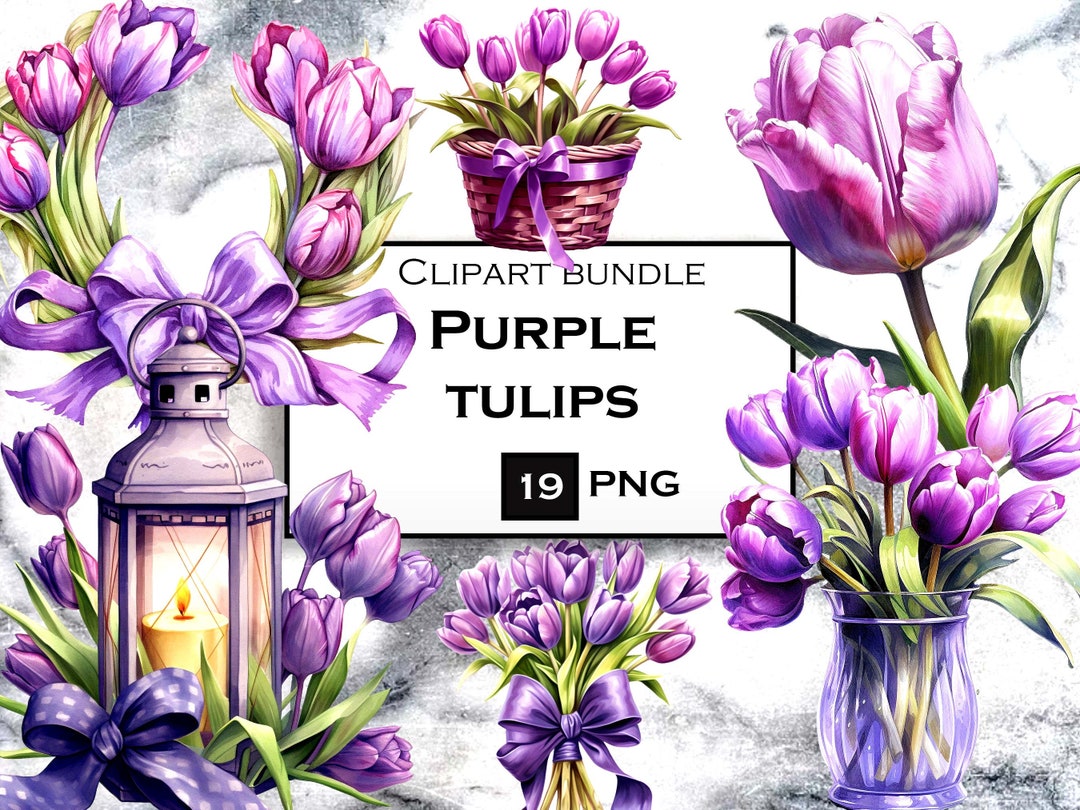 Purple Tulip Clipart Bundle Watercolor Flowers PNG Tulip - Etsy