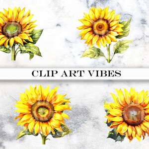 Watercolor Sunflower Clipart Bundle Sunflower PNG Sunflower - Etsy