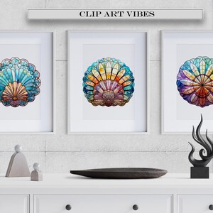 26 PNG Seashell Clipart Bundle Ocean Clipart Beach Clip Art - Etsy