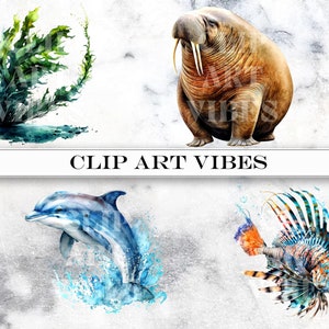Ocean Animal Clipart, Watercolor Clipart Bundle, Ocean SVG, Sea Animal ...
