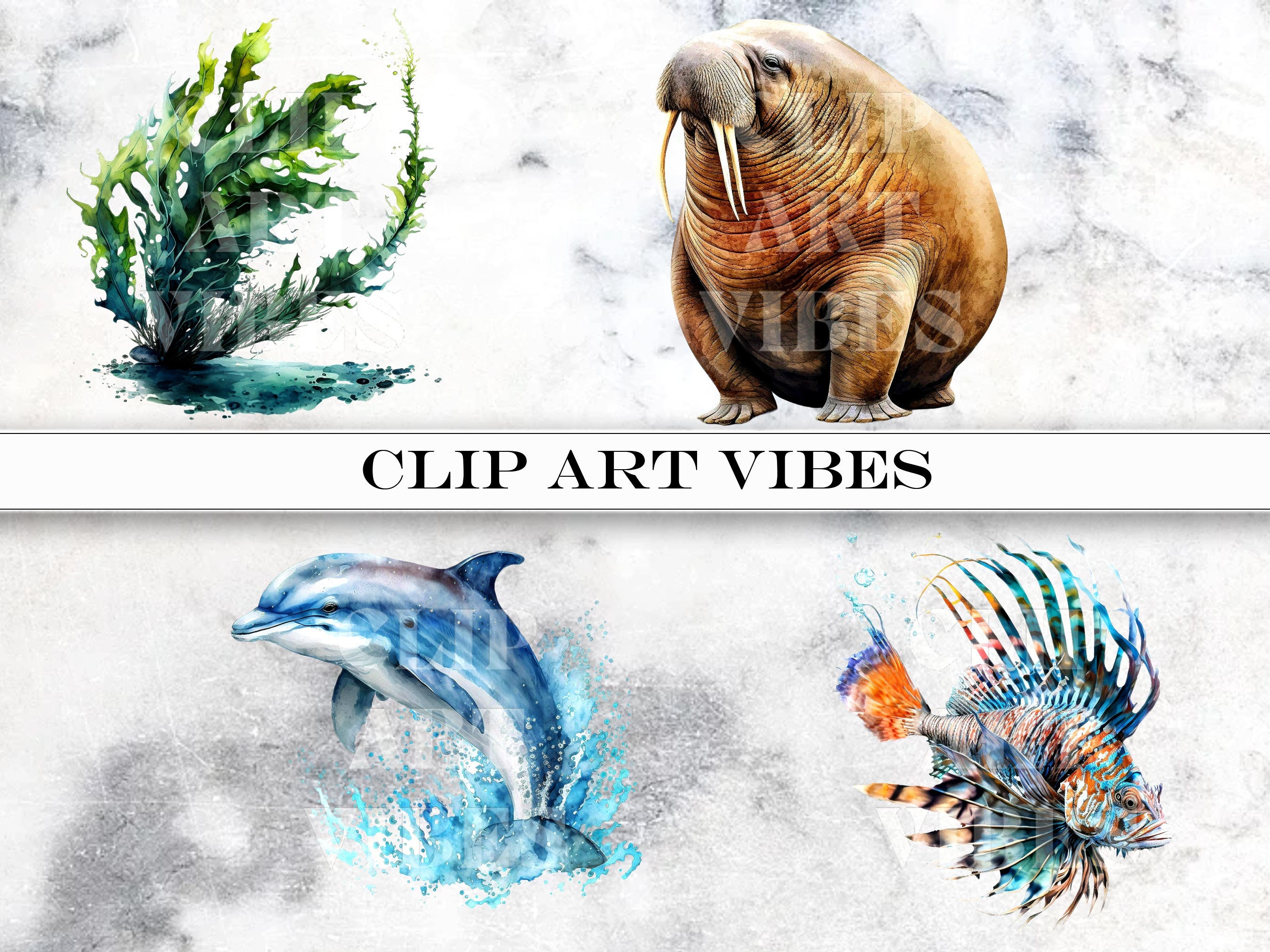 Ocean Animal Clipart, Watercolor Clipart Bundle, Ocean SVG, Sea Animal ...