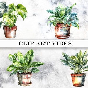 32 PNG House Plant Clipart Bundle, Floral Clip Art PNG Files With ...