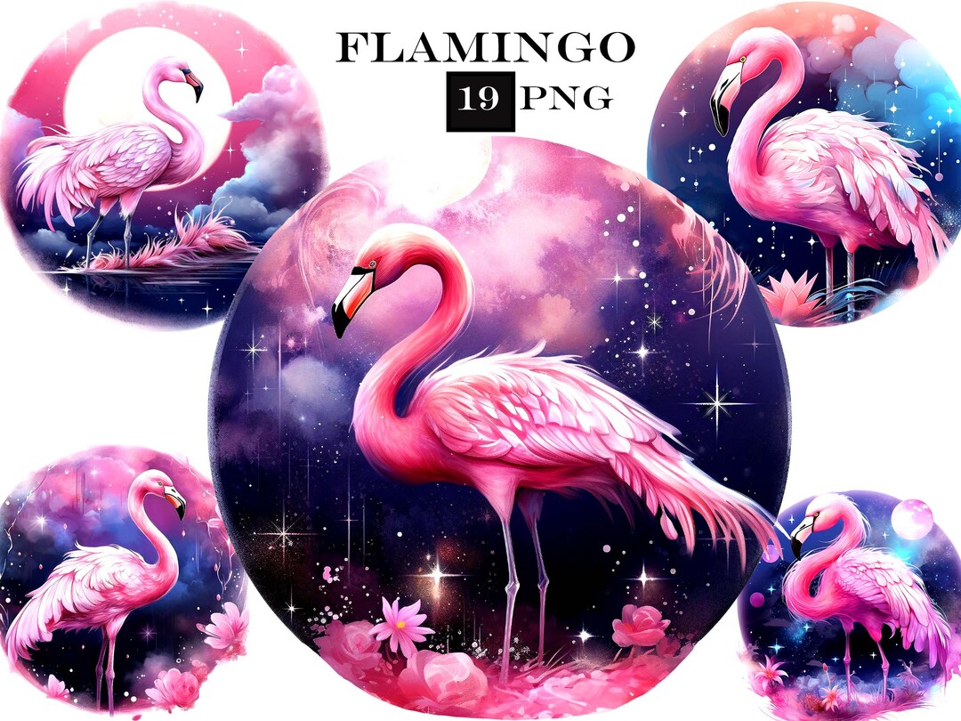 19 PNG Flamingo Clipart Bundle Tropical Clip Art PNG Bundle - Etsy