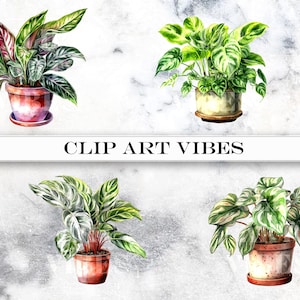 32 PNG House Plant Clipart Bundle Floral Clip Art PNG Files - Etsy