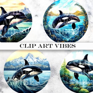 Orca PNG Clipat Bundle, Dolphin PNG Clipart, Under the Sea SVG, Ocean ...
