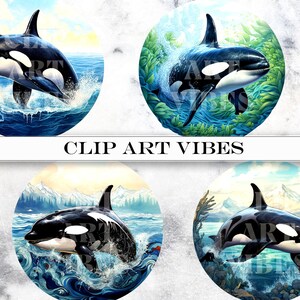 Orca PNG Clipat Bundle, Dolphin PNG Clipart, Under the Sea SVG, Ocean ...