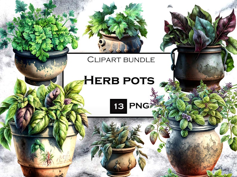 13 PNG Garden Clipart Bundle Watercolor Herb Clip Art PNG - Etsy