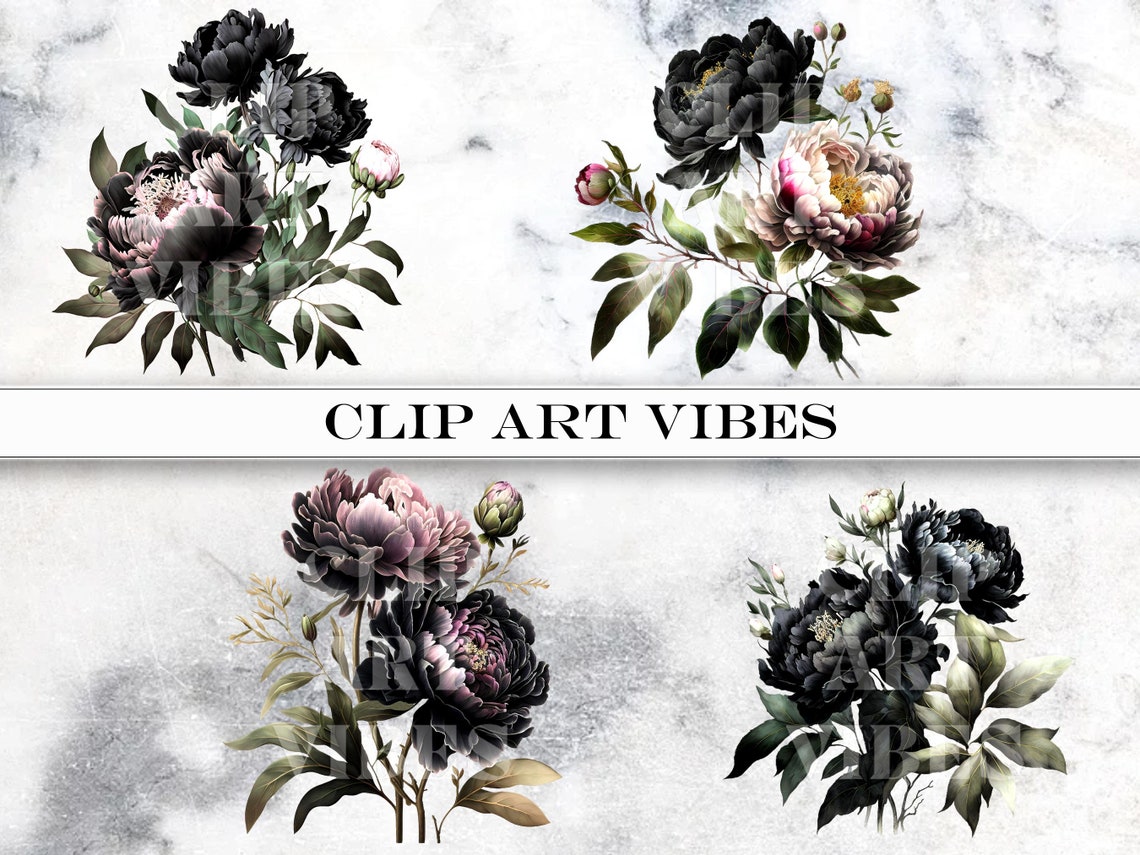 Black Peonies Clipart, Watercolor Flowers PNG, Peonies Clipart ...
