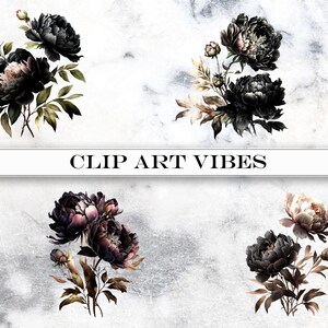 Black Peonies Clipart Watercolor Flowers PNG Peonies - Etsy