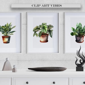 32 PNG House Plant Clipart Bundle, Floral Clip Art PNG Files With ...
