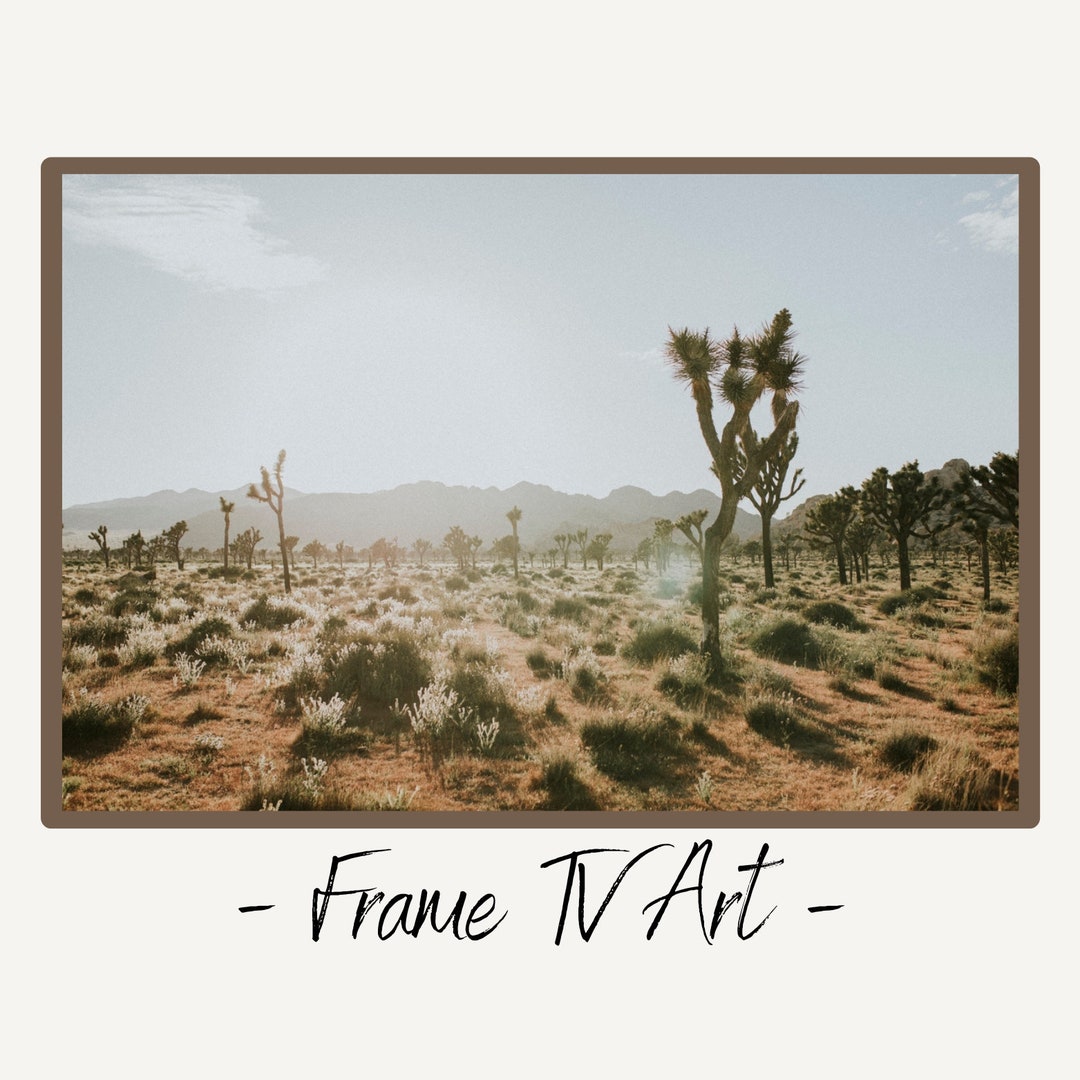 Aesthetic Desert TV Art, Samsung Frame TV Screensaver, Neutral Boho ...
