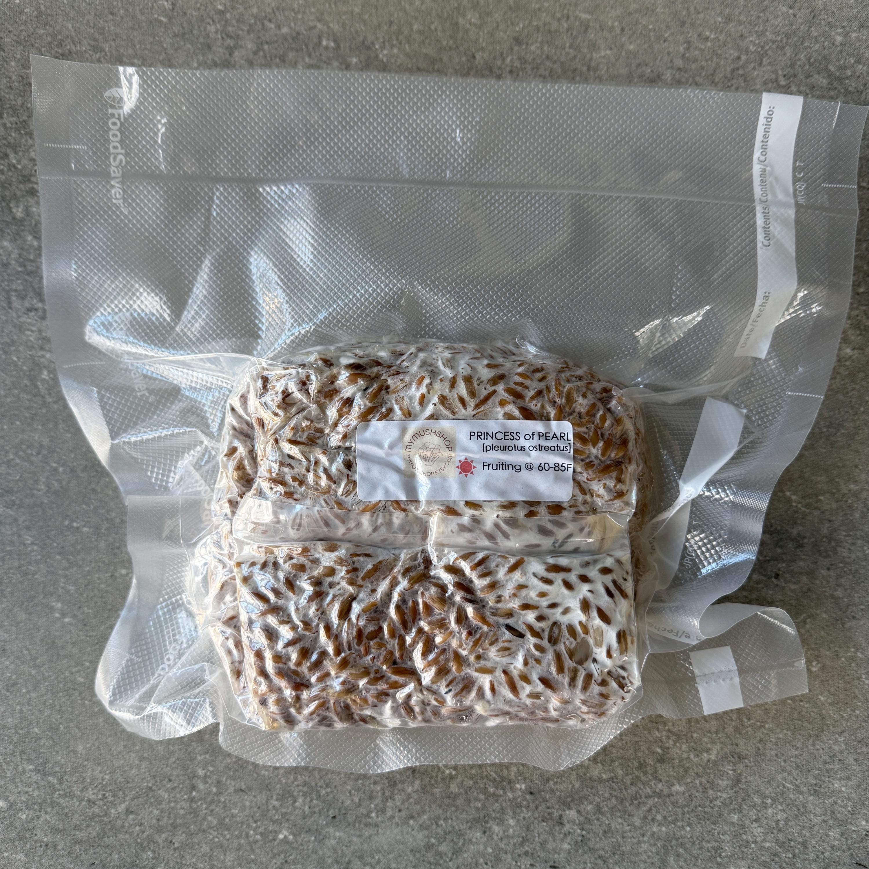 Colonized Mushroom Grain Spawn 1lb Bags LIMITED Quantity - Etsy