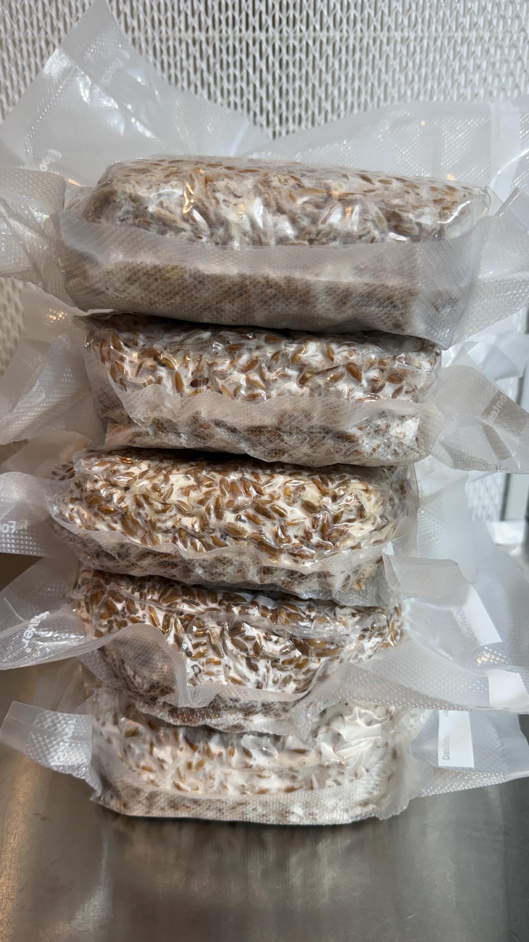 Colonized Mushroom Grain Spawn 1lb Bags LIMITED Quantity - Etsy