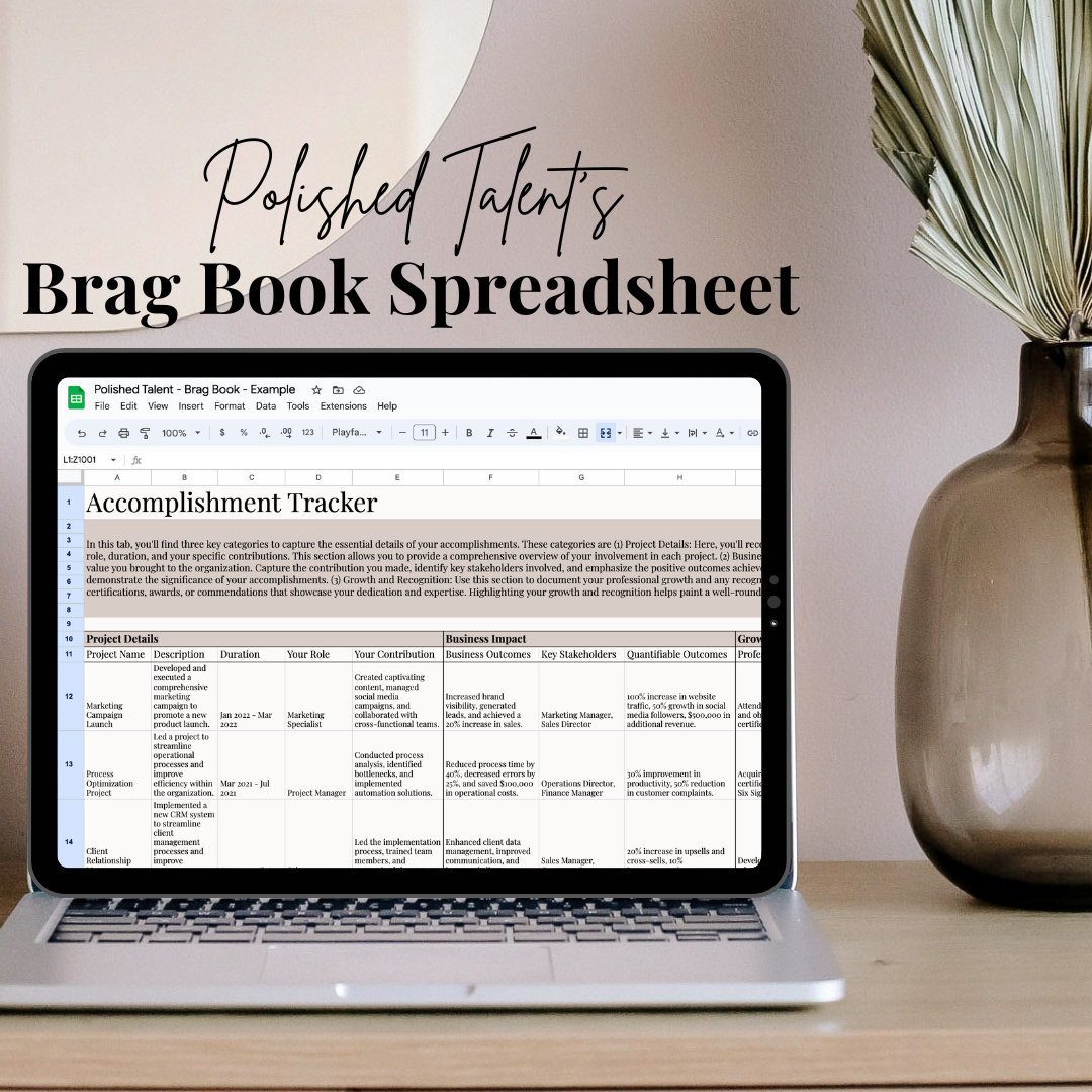 Career Brag Book Spreadsheet | Google & Excel Sheet | Career ...