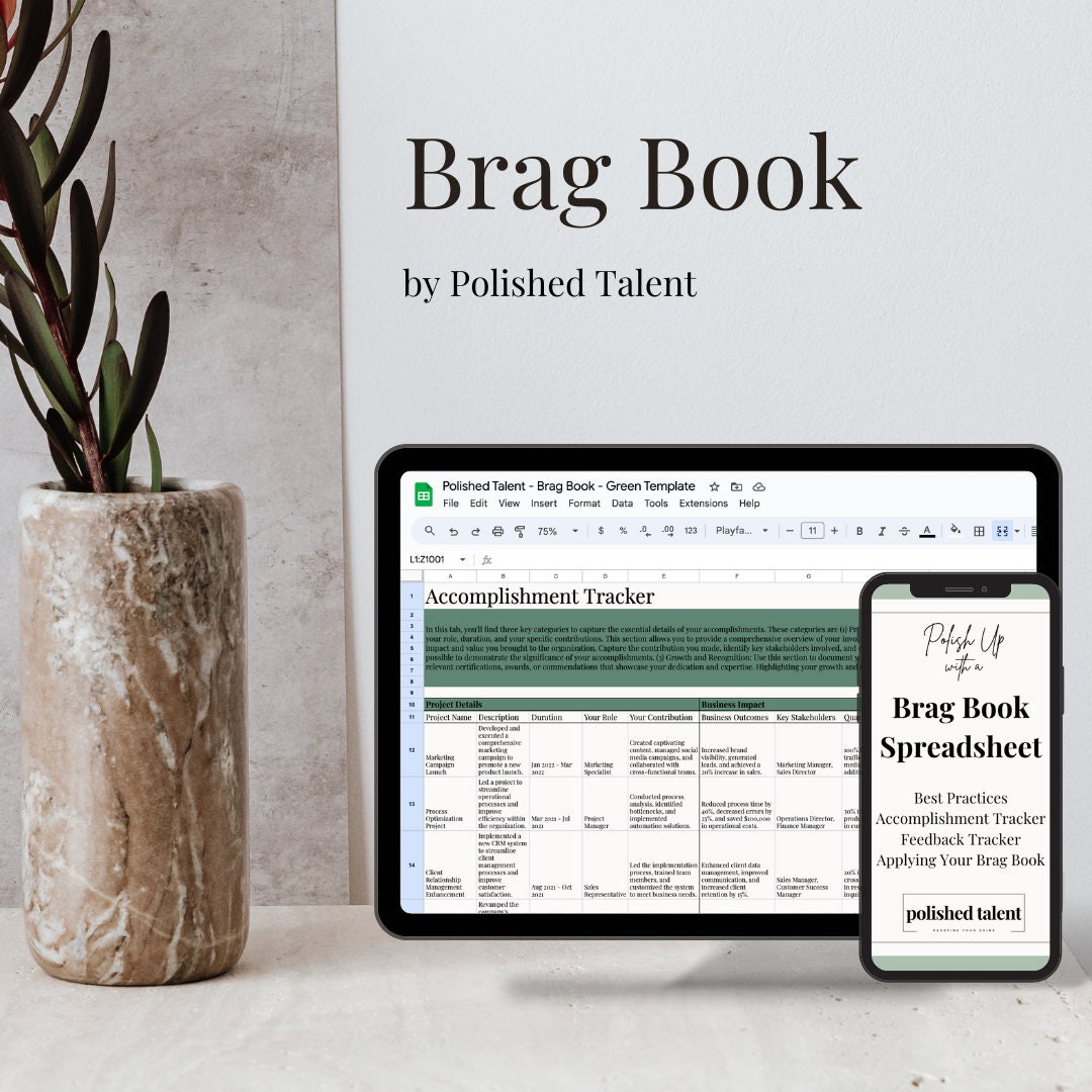 Career Brag Book Spreadsheet | Google & Excel Sheet | Career ...