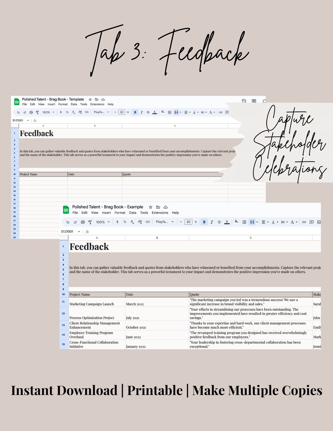 Career Brag Book Spreadsheet | Accomplishment Tracker (google & Excel ...