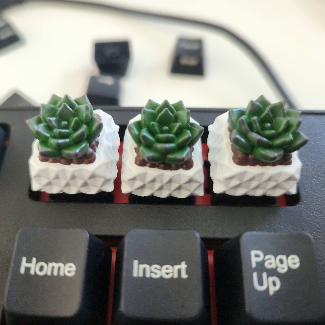 Hand-painted Succulent Plant Keycap: Artisan Mechanical Keyboard ...