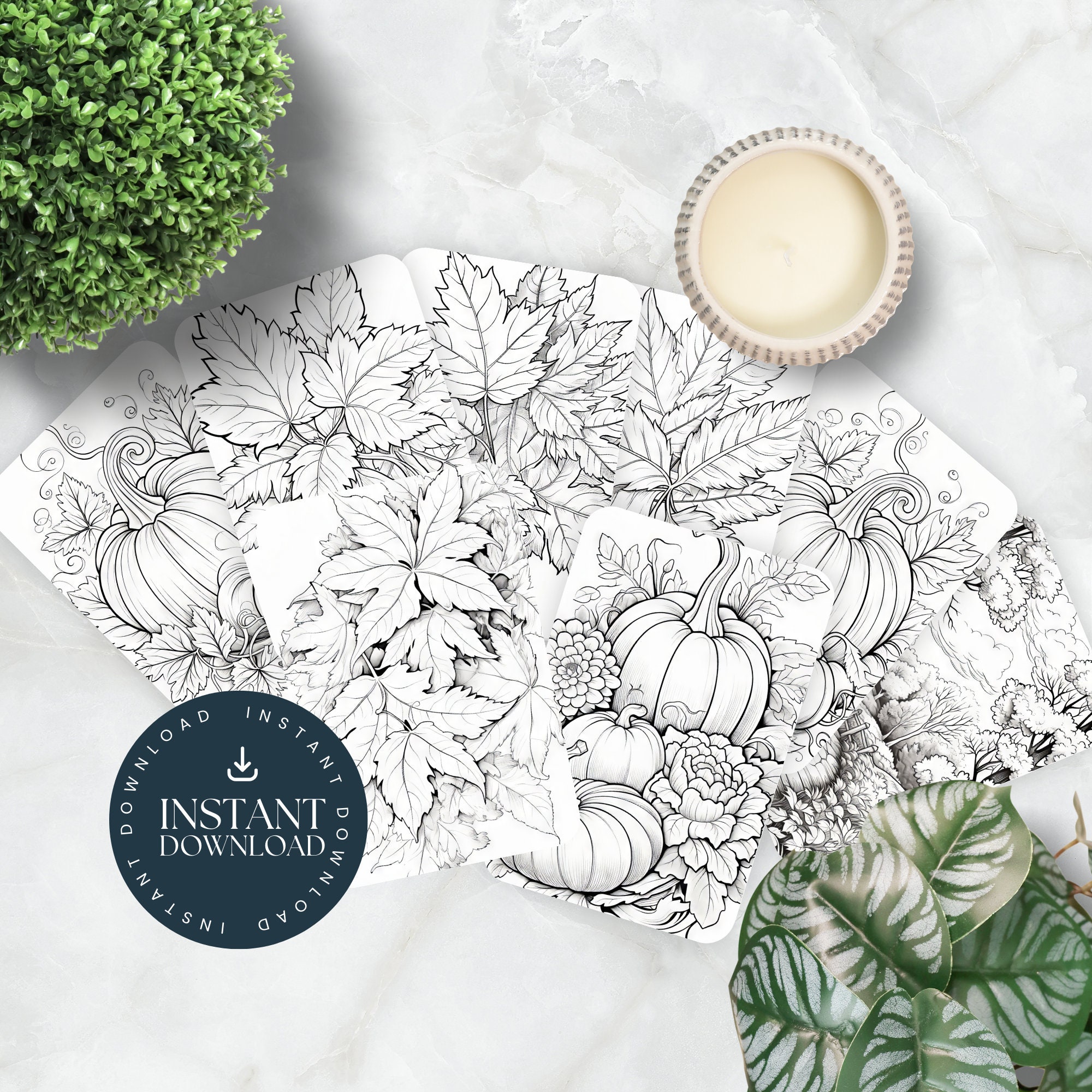 Autumn Line Art Coloring Pages Printable Book 27 Pages Deep Autumn Deep ...