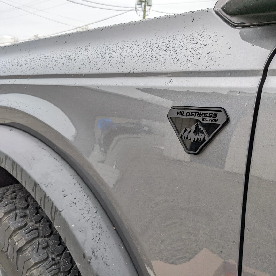 Custom Text Fender Replacement Emblem Pair - Fits Bronco Badlands - Etsy