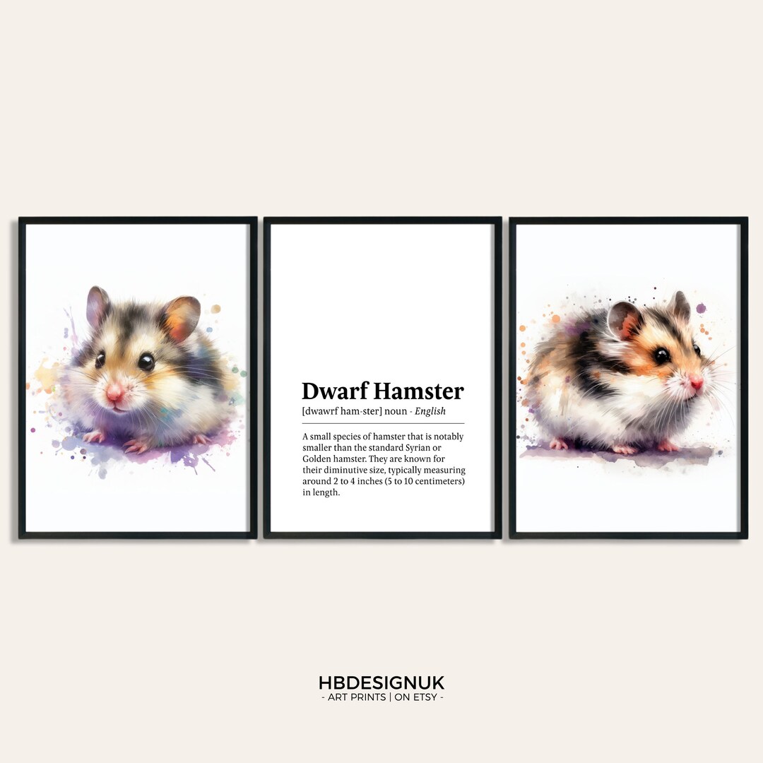 Dwarf Hamster Poster Set - Set of 3 Prints | Watercolour Dwarf Hamster ...