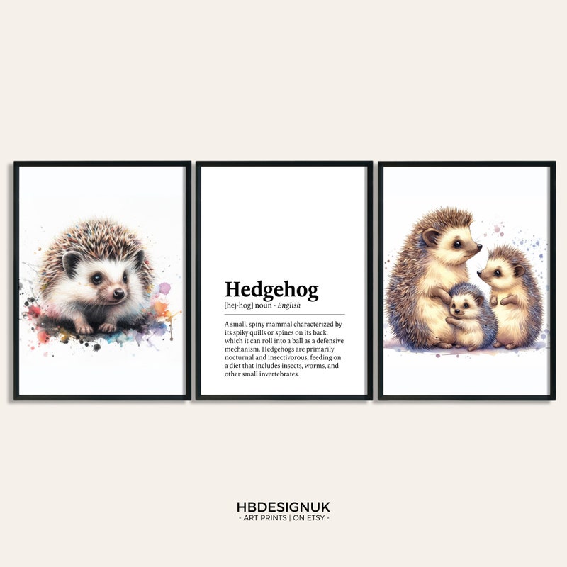 Hedgehog Poster - Etsy