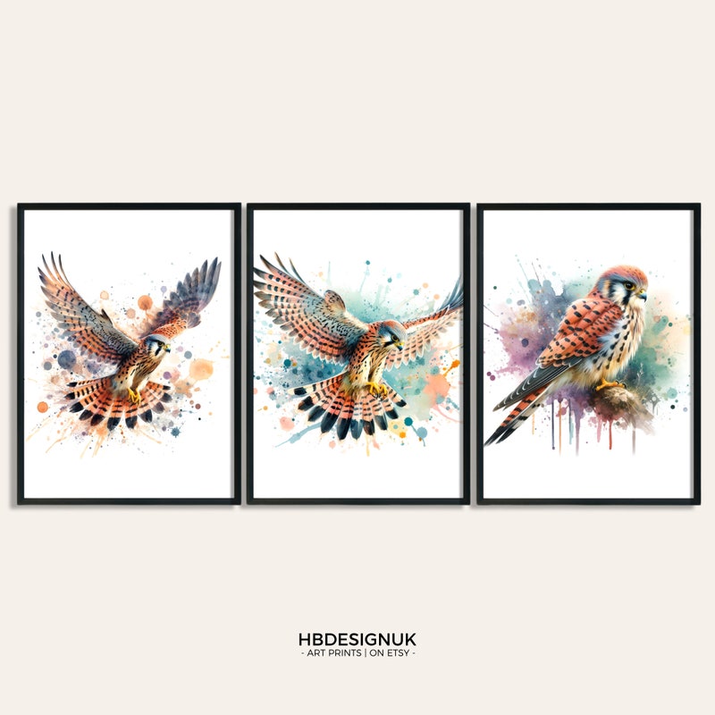 Kestrel Print - Etsy