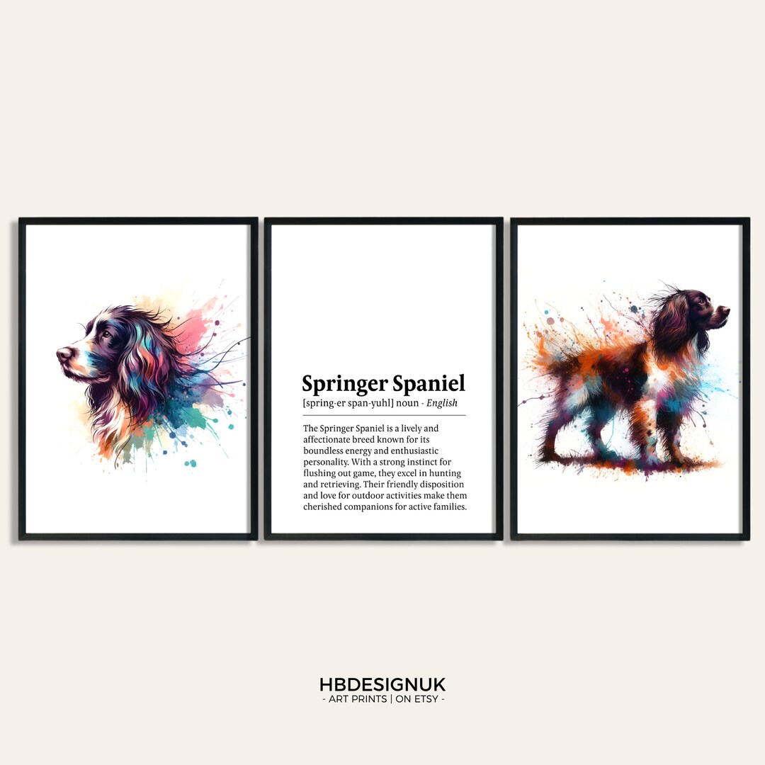 Springer Spaniel Dog Prints - Set of 3 Posters | Watercolour Definition ...