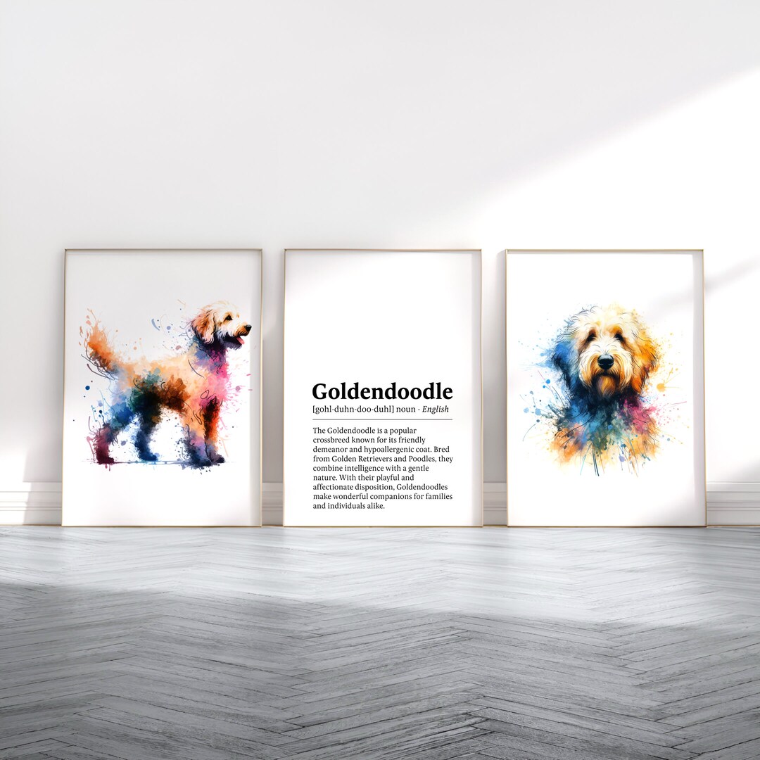 Goldendoodle Dog Prints - Set of 3 Posters | Watercolor Definition Wall ...